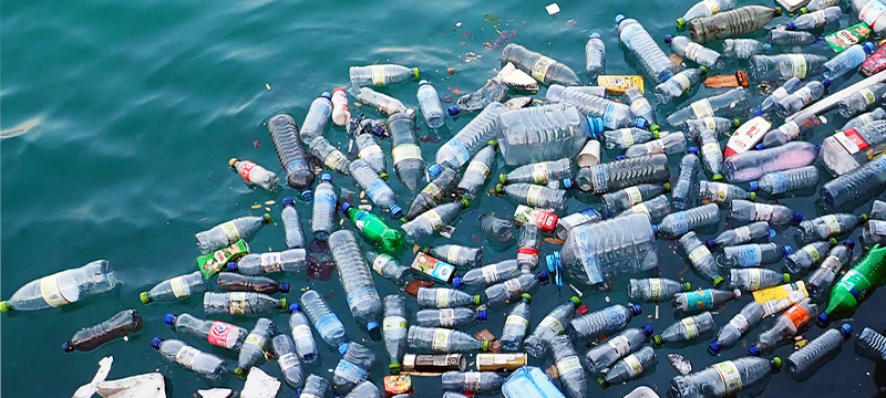 Why minimize plastic as a packaging material—Plastic a history of wastes